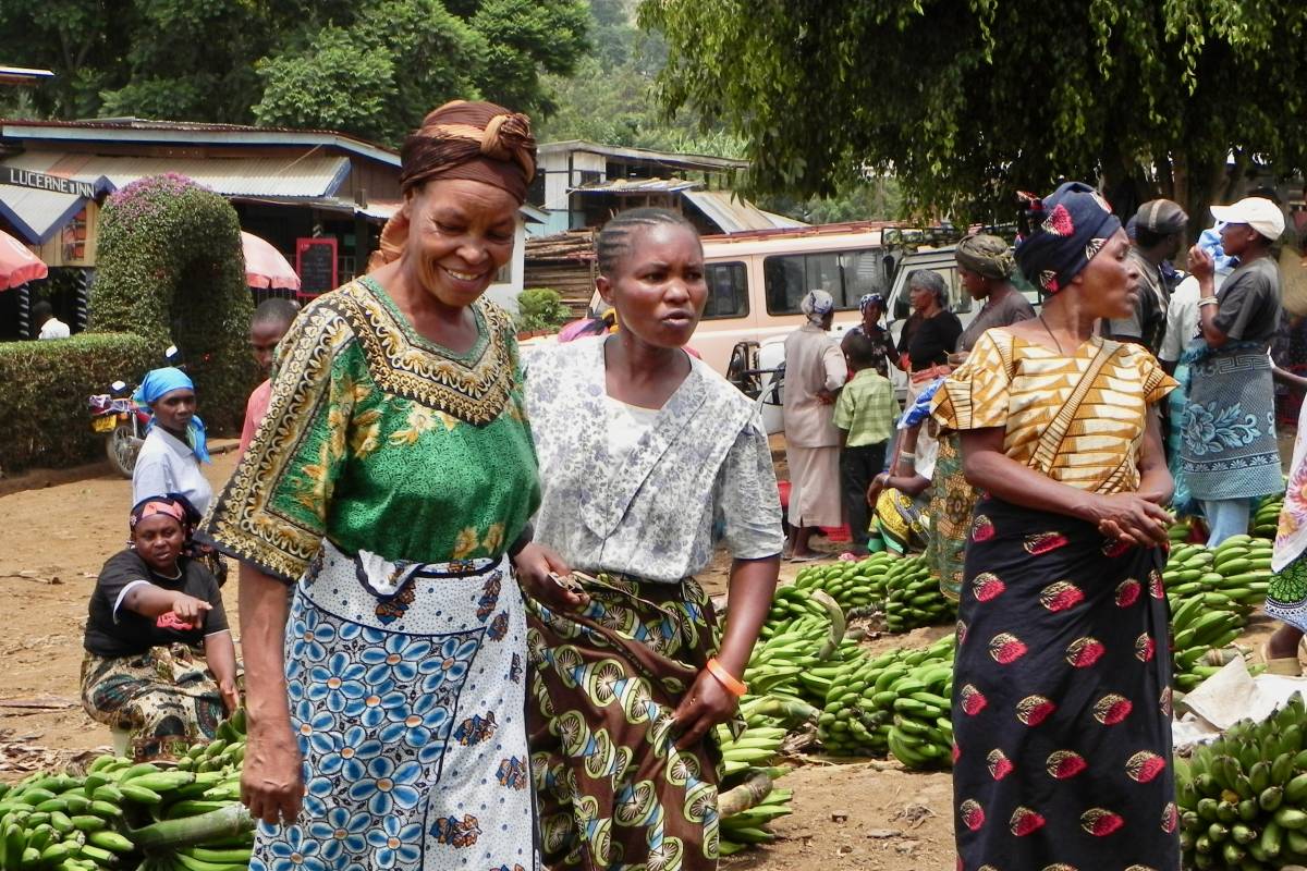 Marangu Safari to the markets and schools on the slopes of Kilimanjaro.