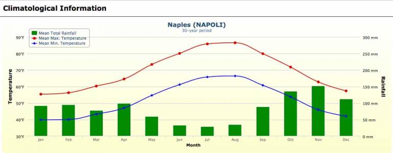 Visit Naples | Moto Beverello | Piazza del Gesu | Pompeii Day Trip