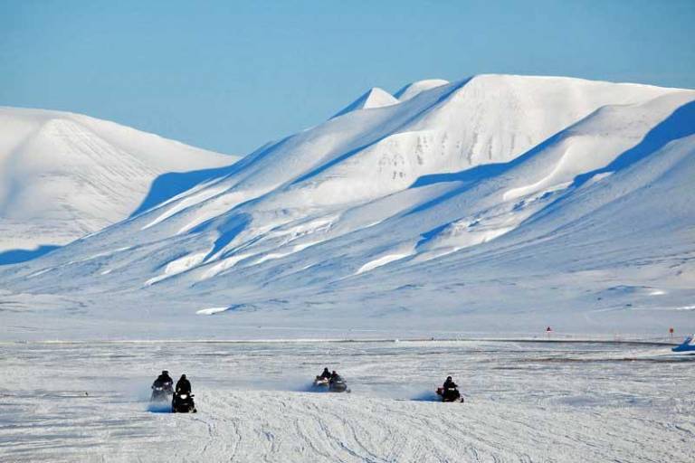 Visit Svalbard | Hurtigruten | G Adventures | Longyearbyen | Polar Bear