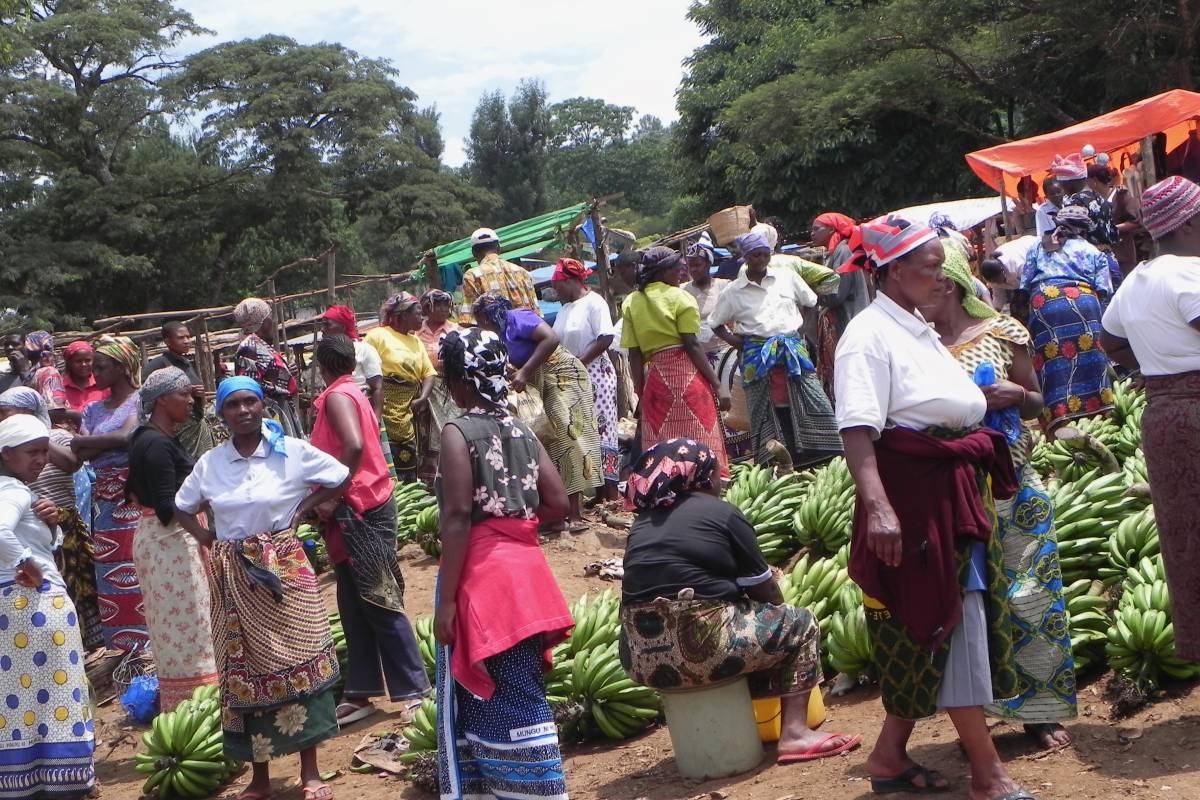 Marangu Safari to the markets and schools on the slopes of Kilimanjaro.